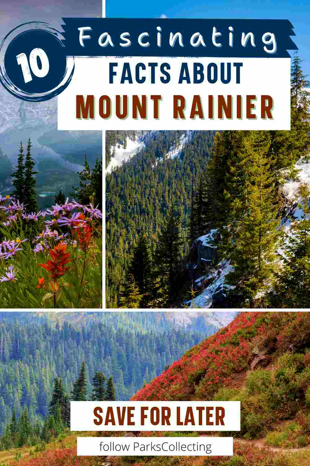 10 Fun Facts About Mount Rainier National Park