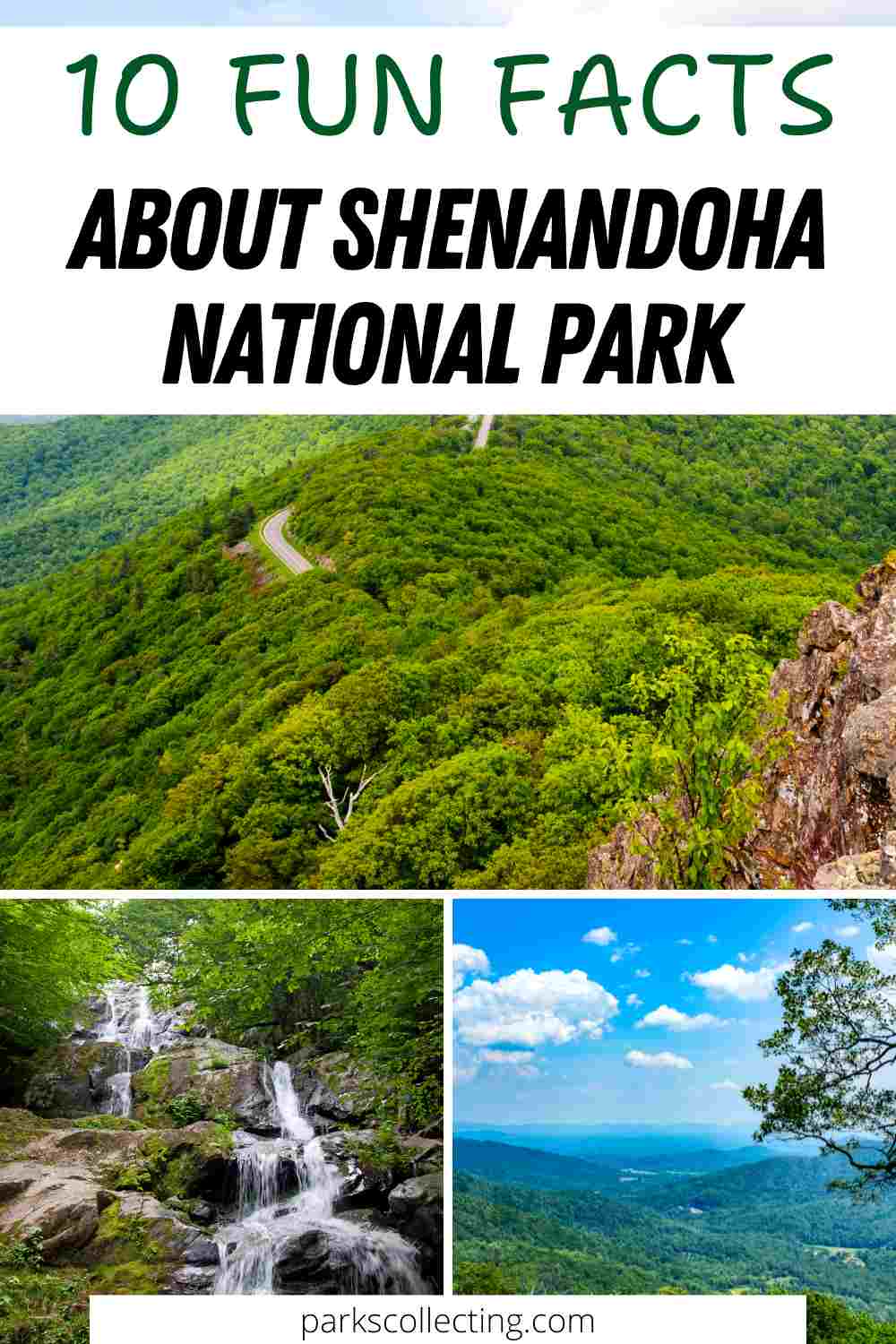 10 Fun Facts About Shenandoah National Park 2025