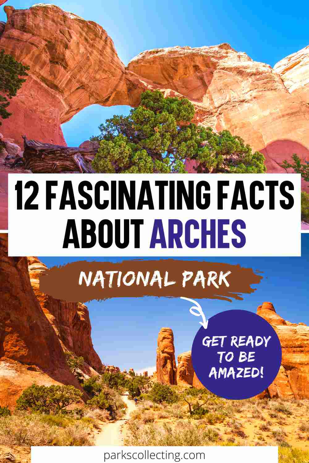 12 Fun Facts About Arches National Park