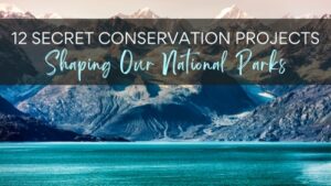 National Parks Inspiration