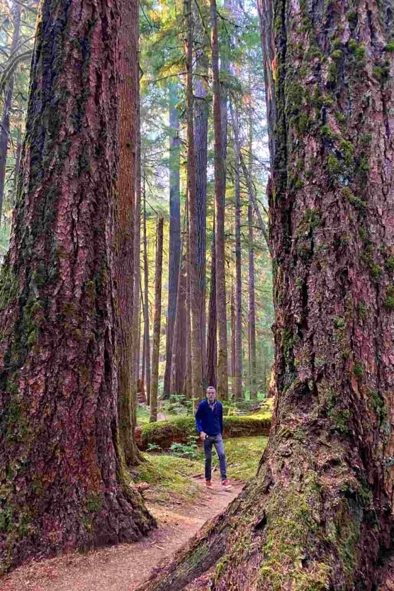 Ancient Groves Nature Trail: Complete Guide