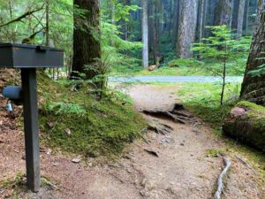 Ancient Groves Nature Trail: Complete Guide