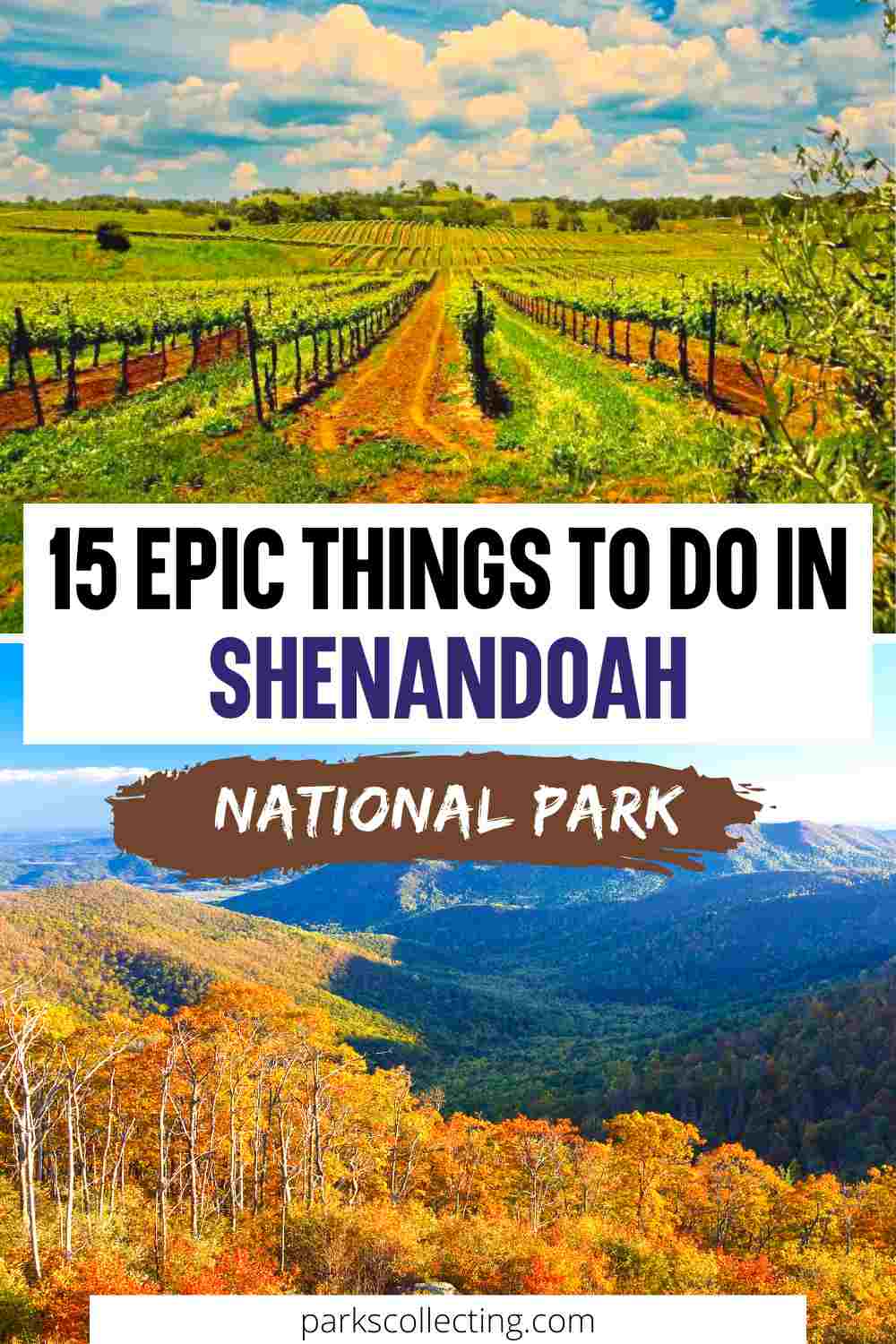 15 Best Things To Do In Shenandoah National Park