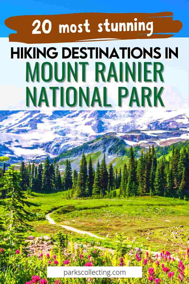 20 Best Hikes In Mount Rainier National Park