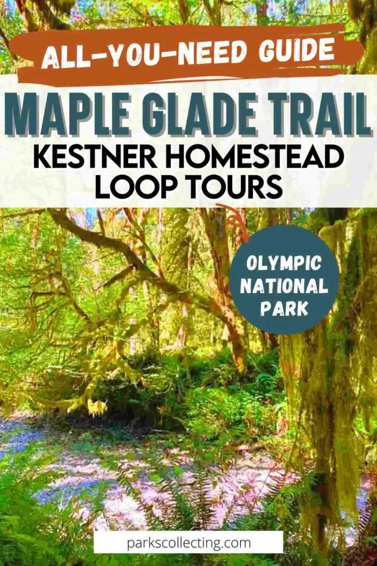 Maple Glade Rainforest Trail And Kestner Homestead Trail: Complete ...