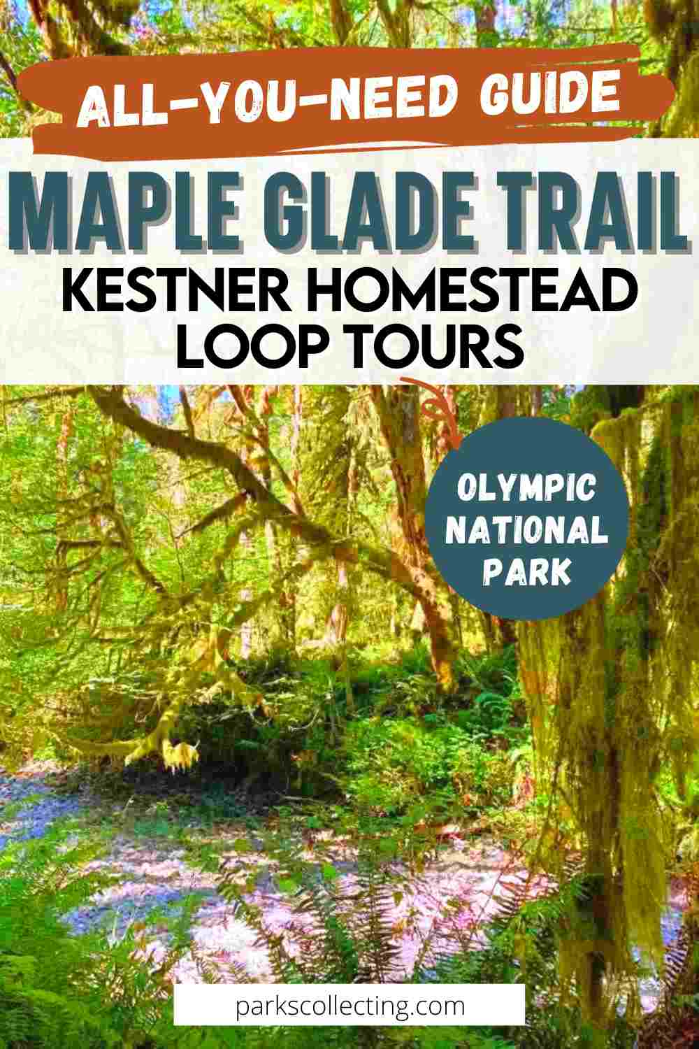 Maple Glade Rainforest Trail And Kestner Homestead Trail: Complete ...