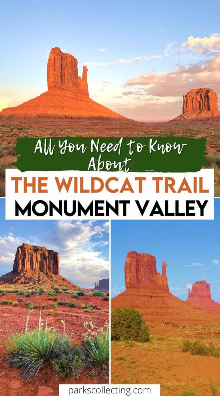 Hiking The Wildcat Trail Monument Valley: Complete Guide 2025
