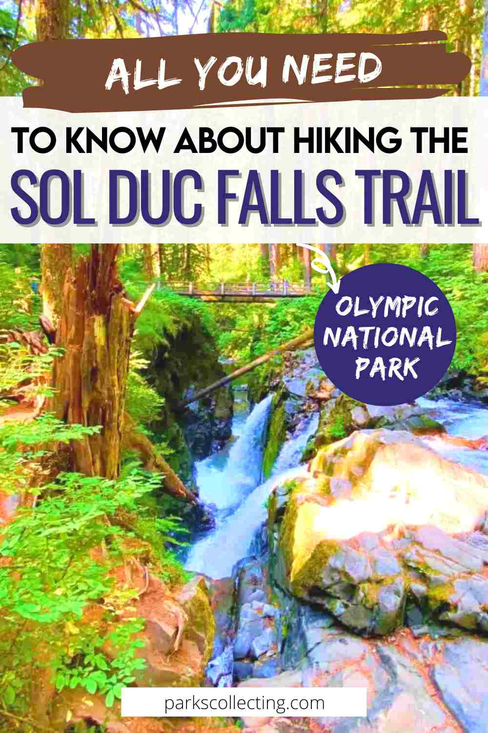 Sol Duc Falls Trail, Olympic National Park: Complete Guide