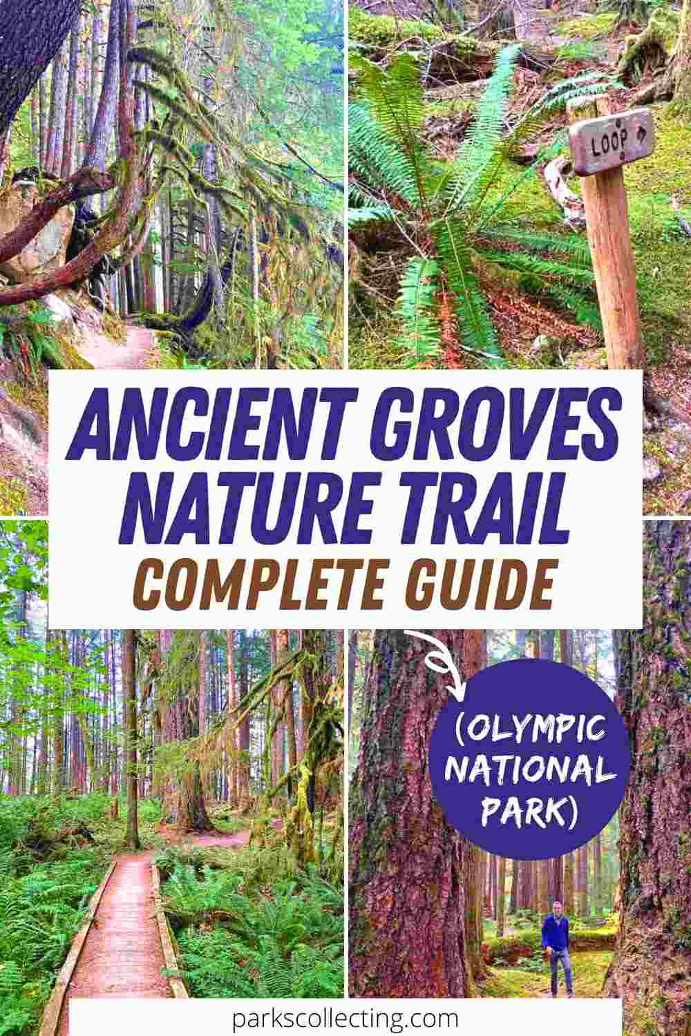Ancient Groves Nature Trail: Complete Guide