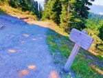 High Ridge Trail To Sunrise Point, Hurricane Ridge: Complete Guide