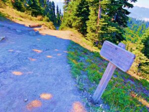 High Ridge Trail To Sunrise Point, Hurricane Ridge: Complete Guide