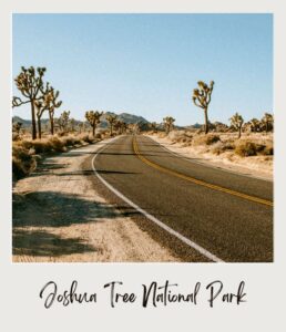 How To Get To Joshua Tree National Park