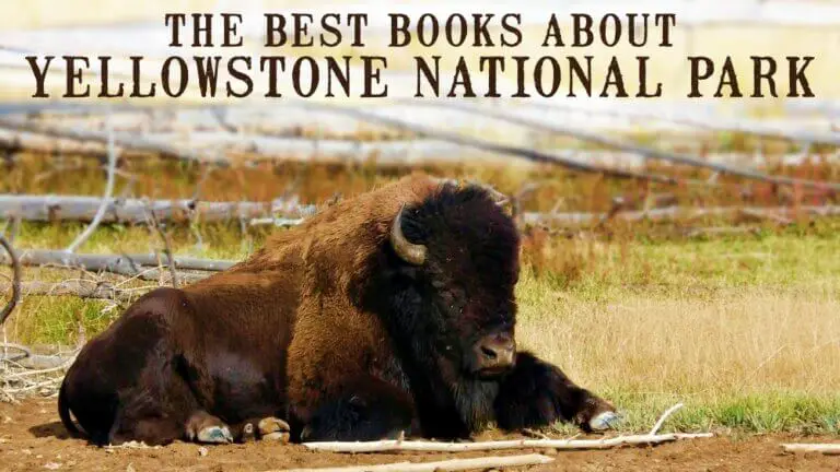 The 16 Best Books About Yellowstone National Park 2022