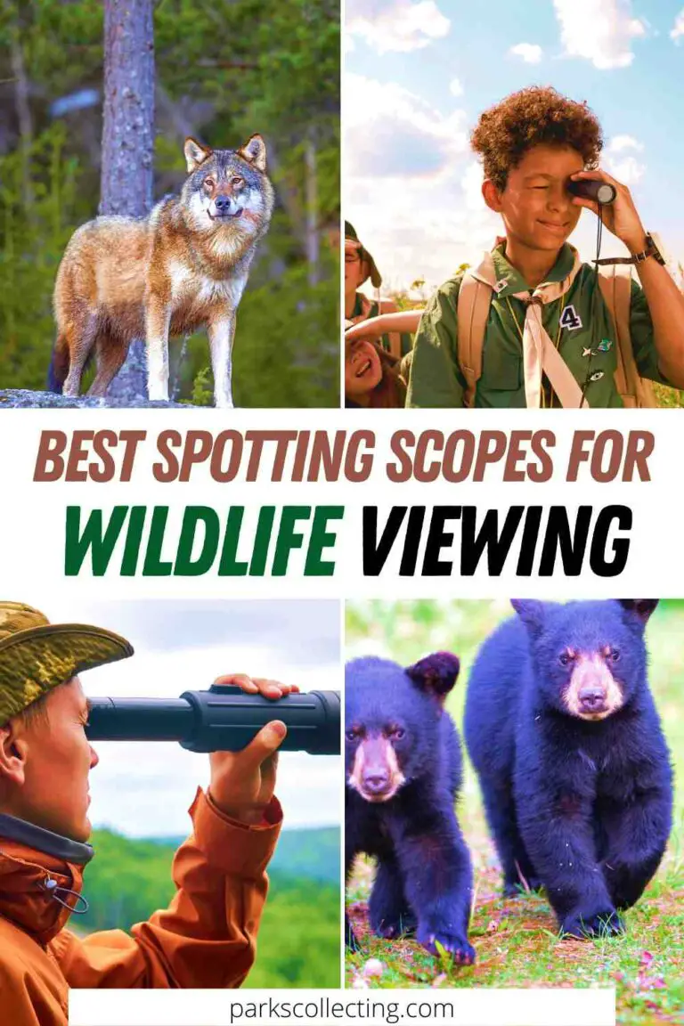 The Best Spotting Scope For Wildlife Viewing 2025
