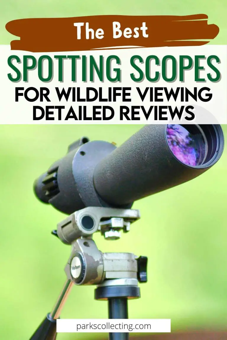 The Best Spotting Scope For Wildlife Viewing 2024