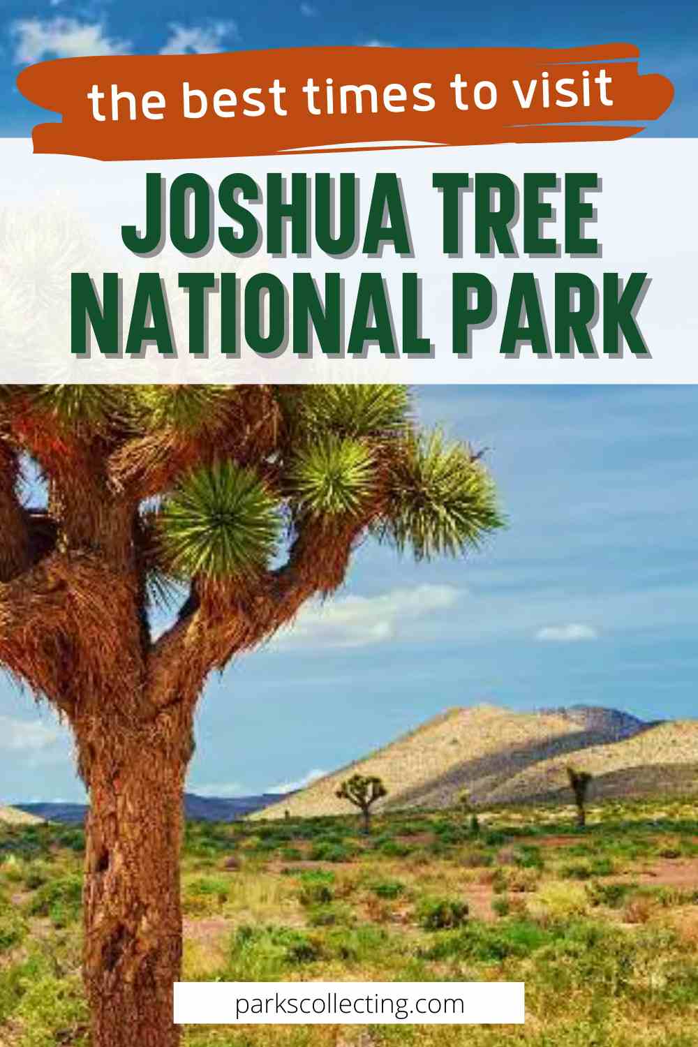 Best Time To Visit Joshua Tree National Park 2025