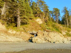 Kalaloch Beach 4, Olympic National Park 2025