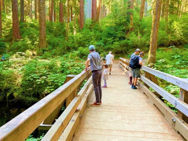 Sol Duc Falls Trail, Olympic National Park: Complete Guide