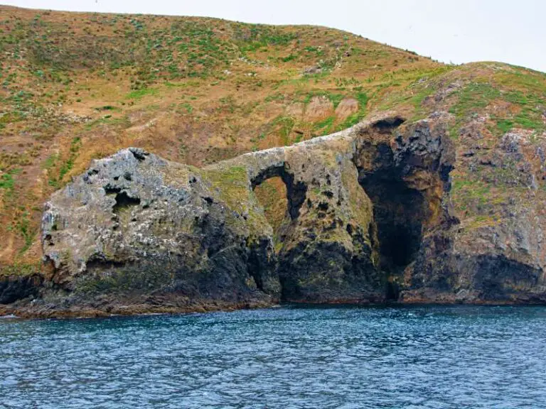 Best Time To Visit Channel Islands National Park, California