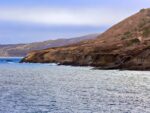 Visiting Channel Islands National Park: What To Expect Throughout The Year