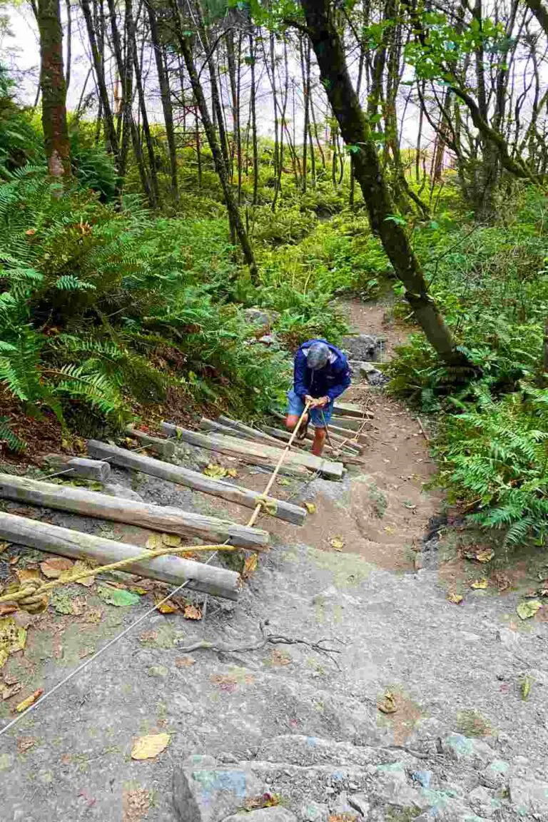 Third Beach, La Push: Complete Guide 2025