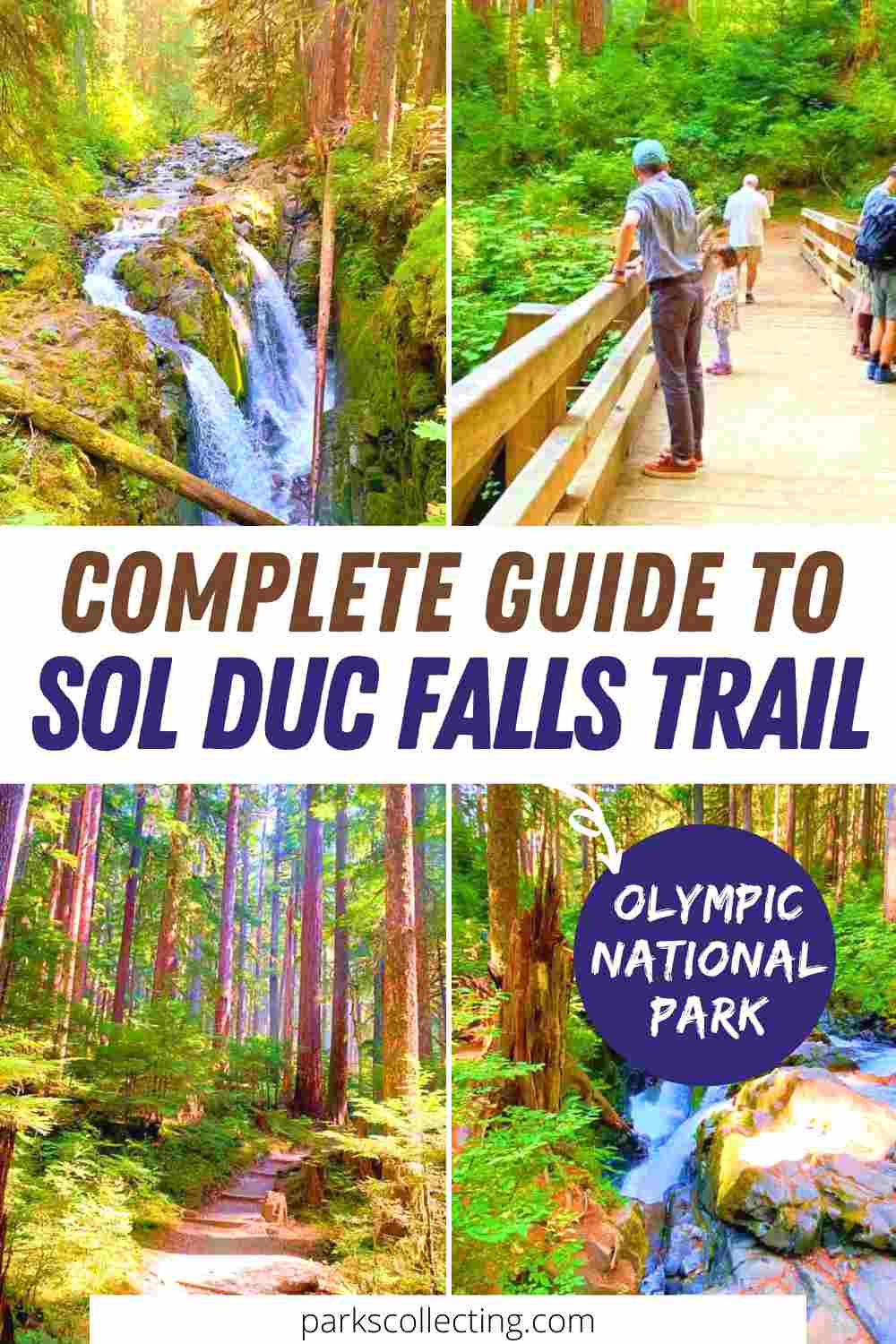 Sol Duc Falls Trail, Olympic National Park: Complete Guide