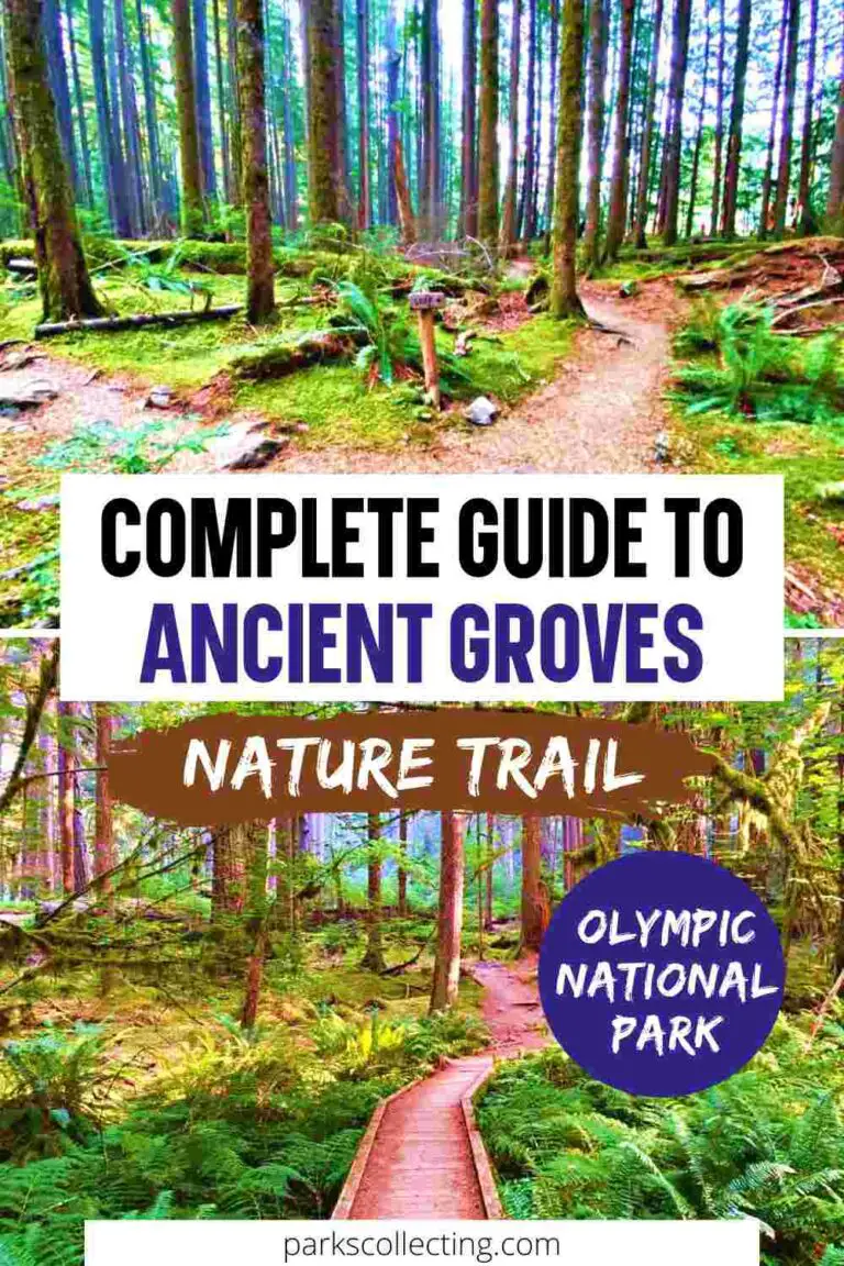 Ancient Groves Nature Trail: Complete Guide