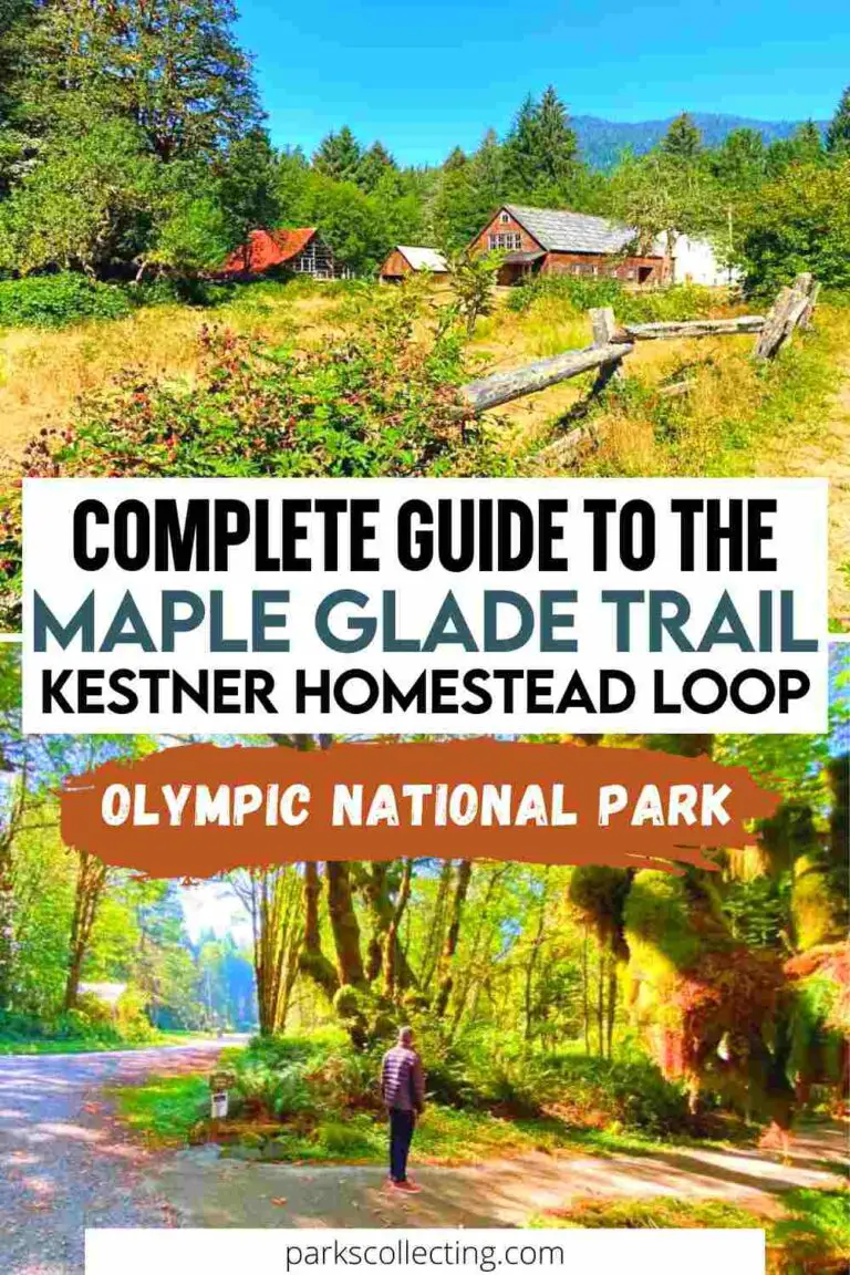 Maple Glade Rainforest Trail And Kestner Homestead Trail: Complete ...
