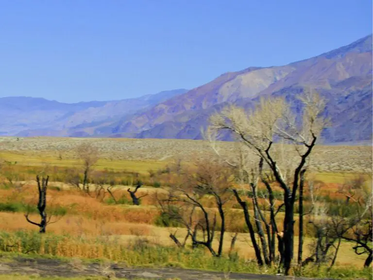 Visiting Death Valley National Park: What To Expect Throughout The Year