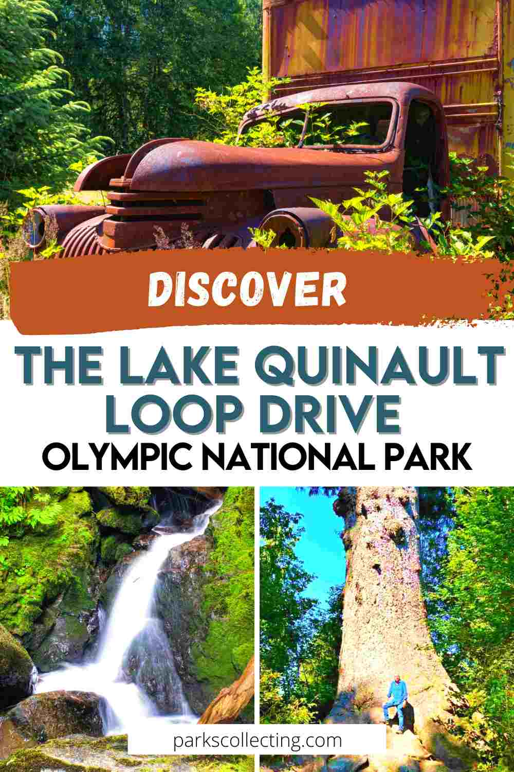 Lake Quinault Loop Drive: A Complete Guide For First Time Visitors