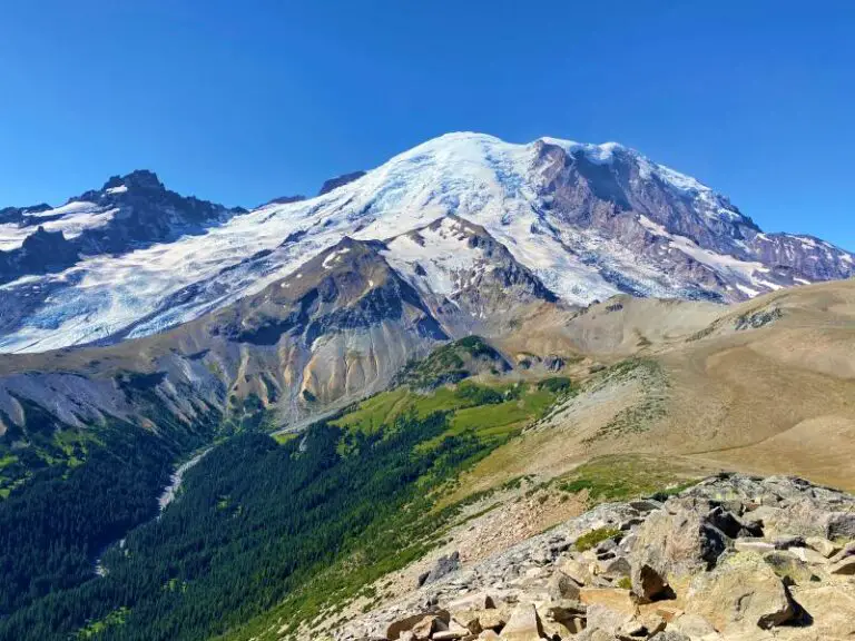 20 Best Hikes In Mount Rainier National Park