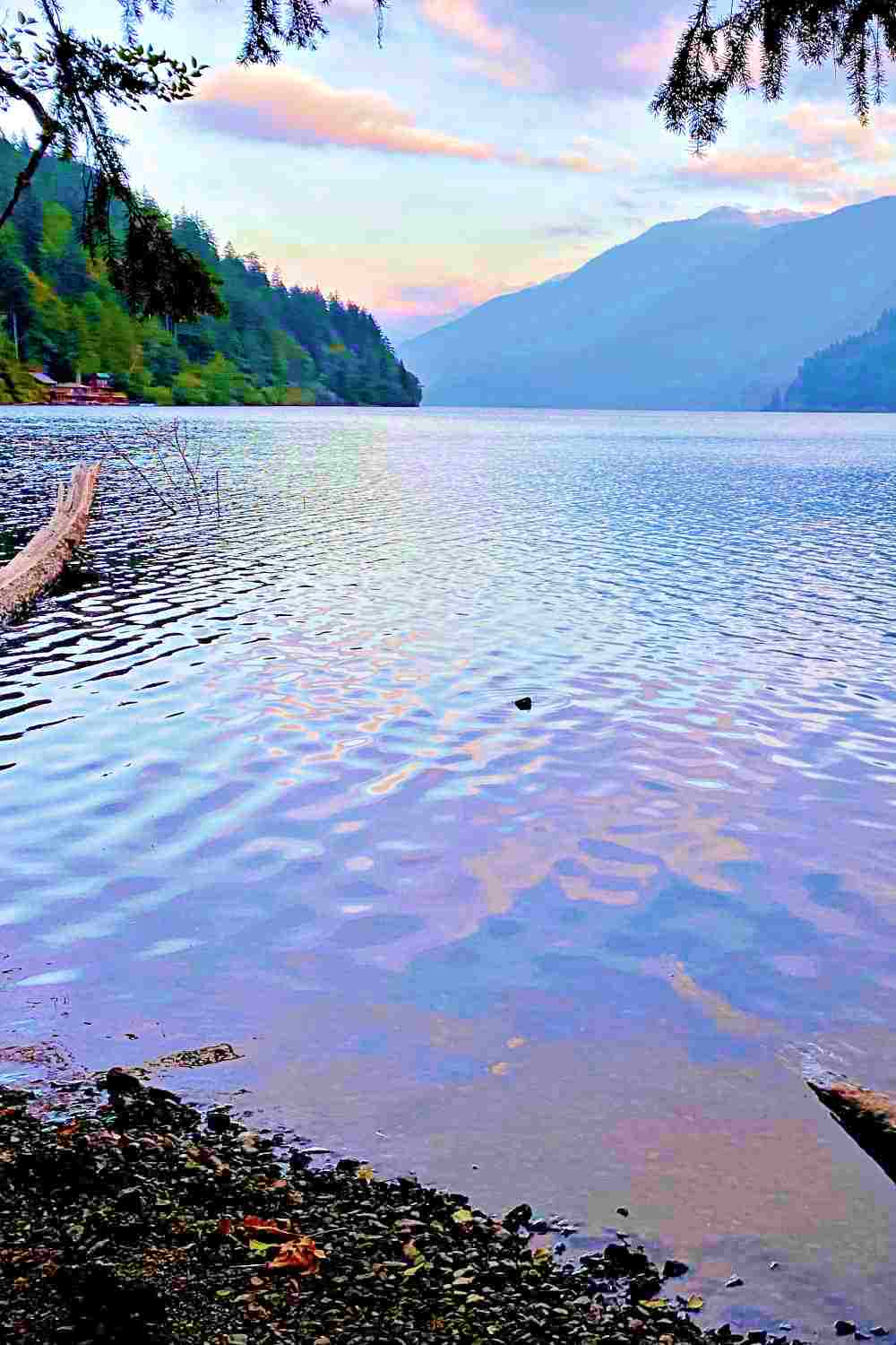 10 Best Views In Olympic National Park: Complete Guide To The Top ...