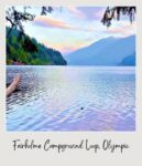 5 Best Hikes Near Lake Crescent In Washington