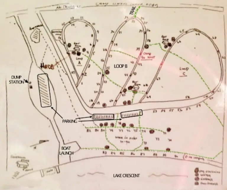 5 Best Hikes Near Lake Crescent In Washington