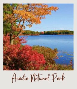 12 Fun Facts About Acadia National Park