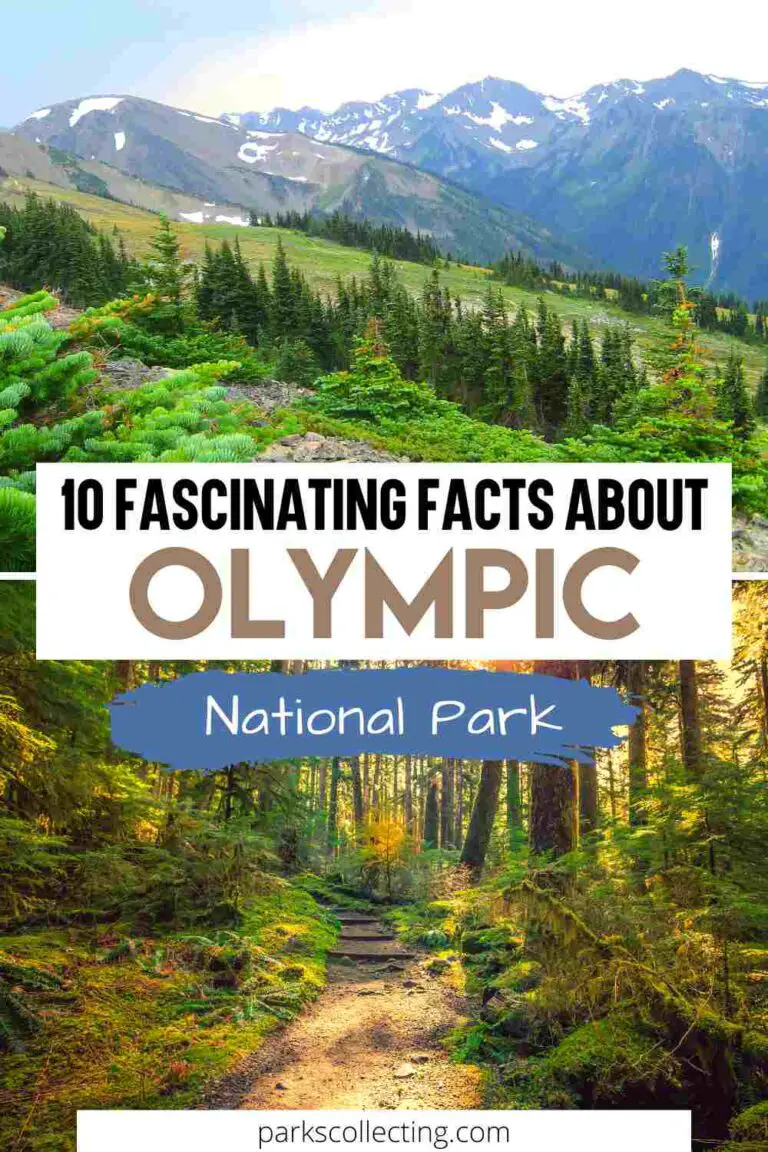 10 Fun Facts About Olympic National Park