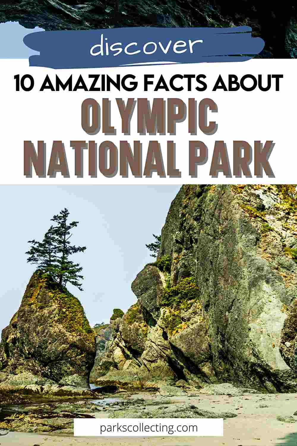 10 Fun Facts About Olympic National Park