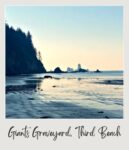 Third Beach, La Push: Complete Guide 2025