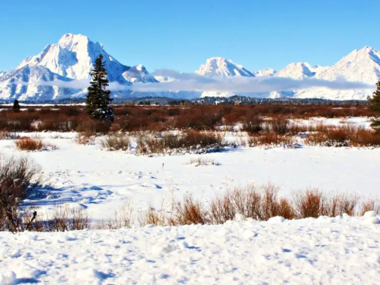 Visiting Grand Teton National Park In Winter: Complete Guide