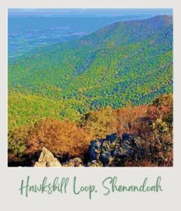 10 Best Hikes In Shenandoah National Park