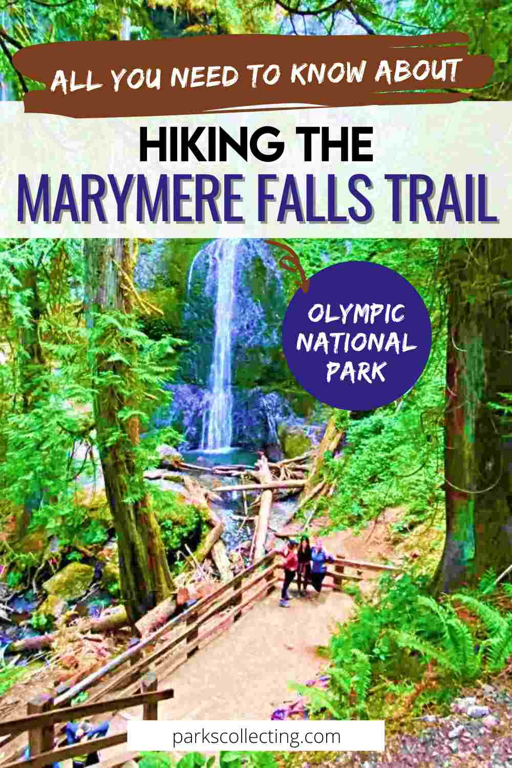 Marymere Falls Trail Guide