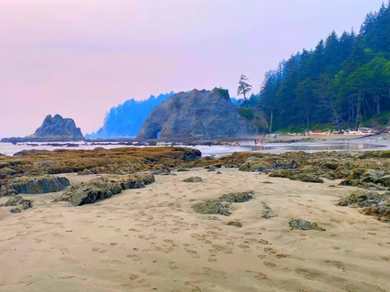 Rialto Beach - Hole In The Wall, Olympic National Park: Complete Guide