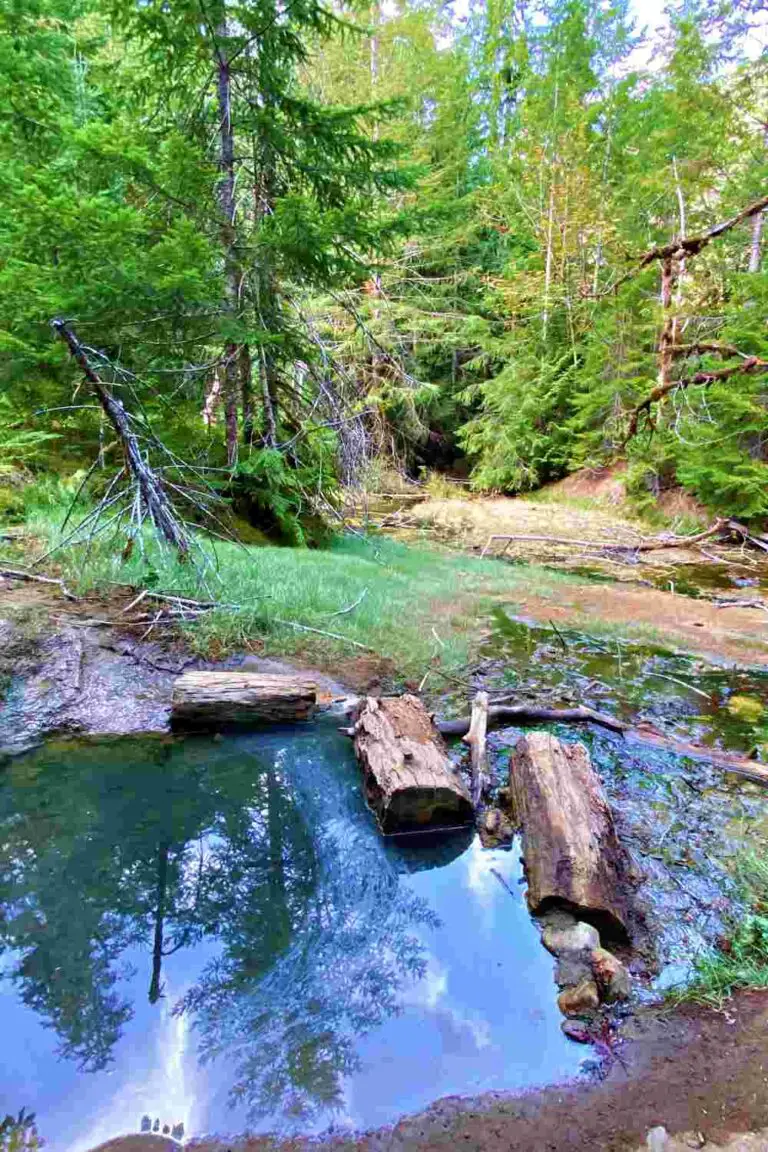 20 Best Hikes In Mount Rainier National Park