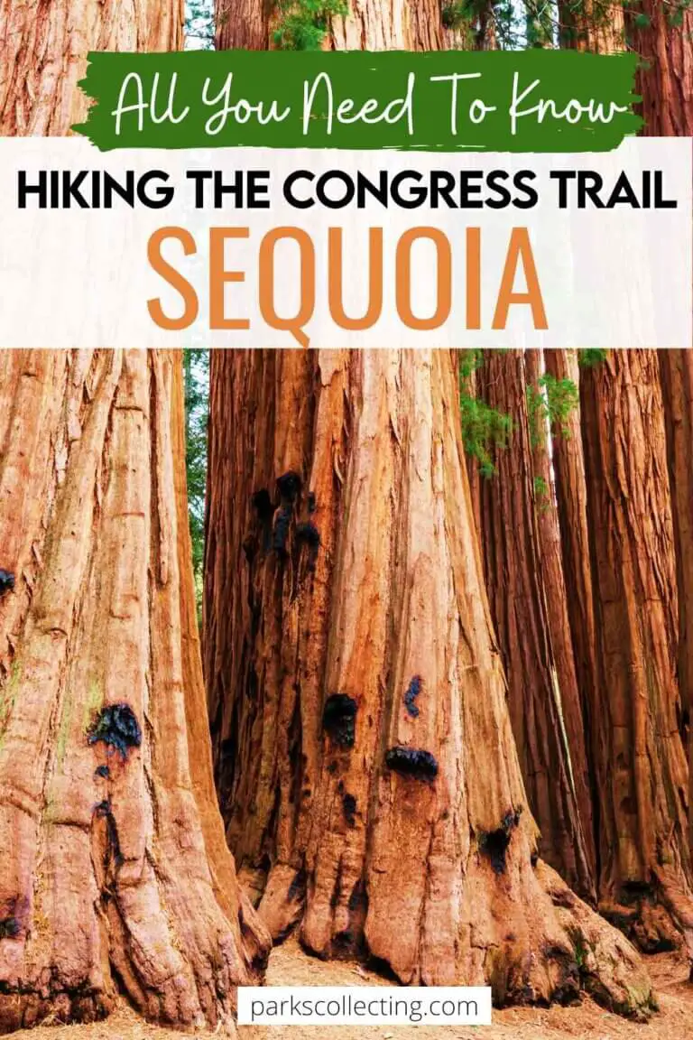 Hiking The Congress Trail, Sequoia National Park: Complete Guide 2025