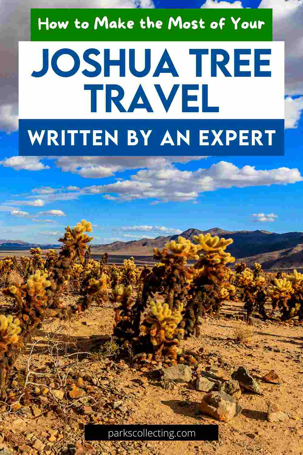 10 Tips For Visiting Joshua Tree National Park 2025