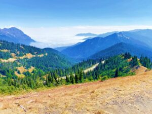 Visiting Hurricane Ridge, Olympic National Park: Complete Guide