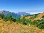 Visiting Hurricane Ridge, Olympic National Park: Complete Guide