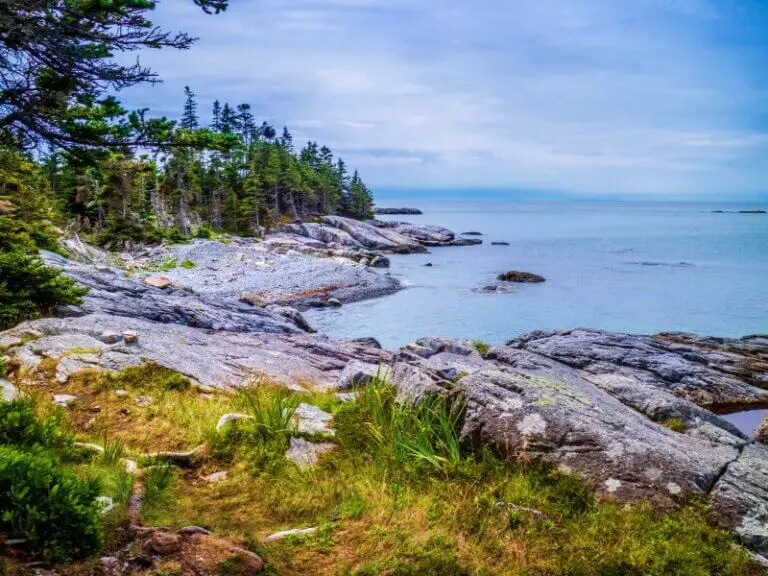 Acadia National Park Camping Guide