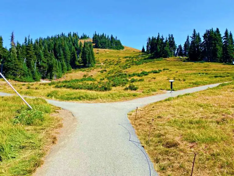 High Ridge Trail To Sunrise Point, Hurricane Ridge: Complete Guide