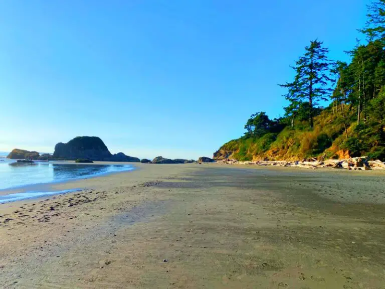 Kalaloch Beach 4, Olympic National Park 2025